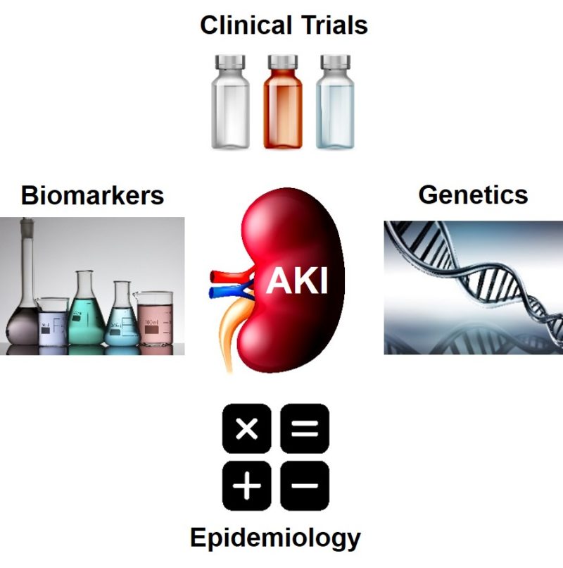 LEAF LAB – Clinical Research in Acute Kidney Injury